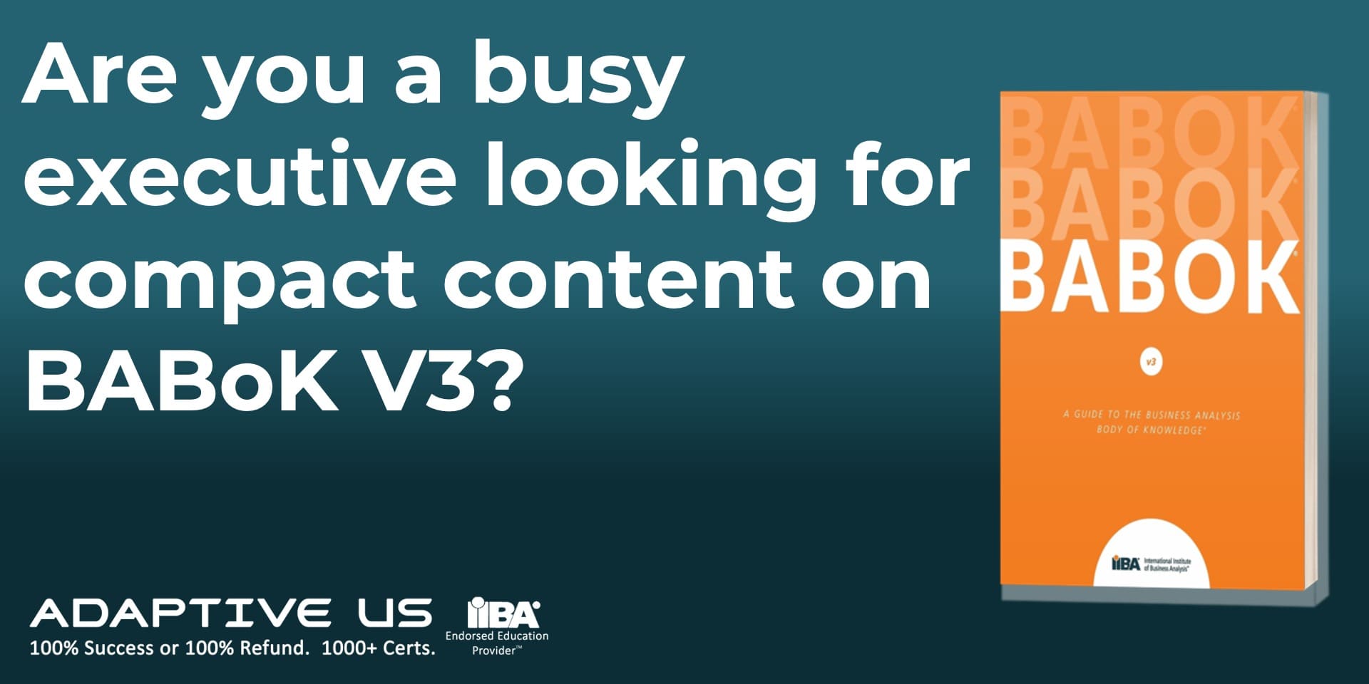 Demystifying BABoK V3 terms and understanding them practically